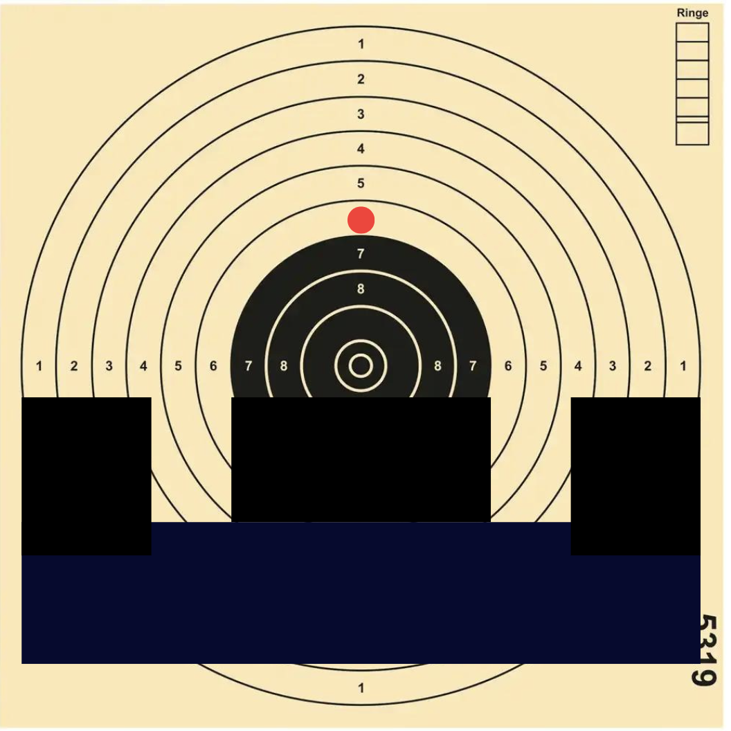 L’Art de la Visée au Pistolet 10m: Maîtriser la Précision pour Exceller ...